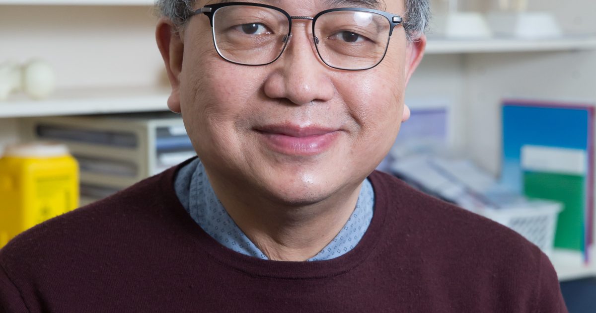 Dr Paul Chu | Marden Medical